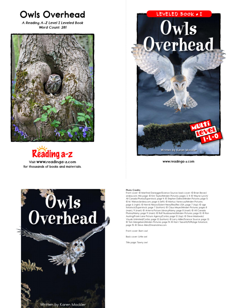 Owls Overhead | PDF | Owl | Zoology