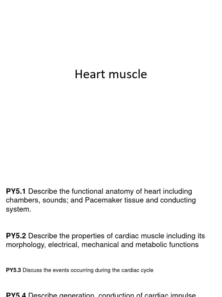 Cardiac Muscle | PDF | Cardiac Muscle | Heart