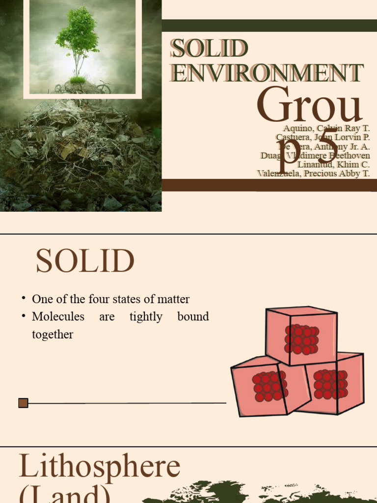 Solid Environment | PDF | Waste Management | Waste