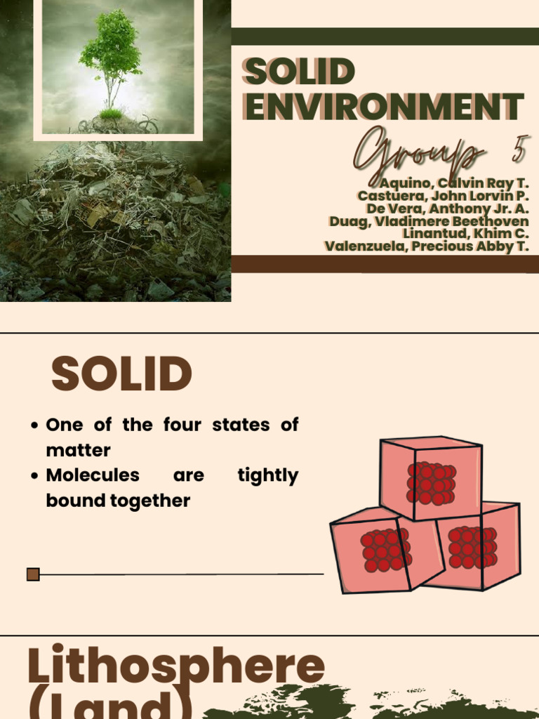 SOLID ENVIRONMENT | PDF | Waste | Waste Management