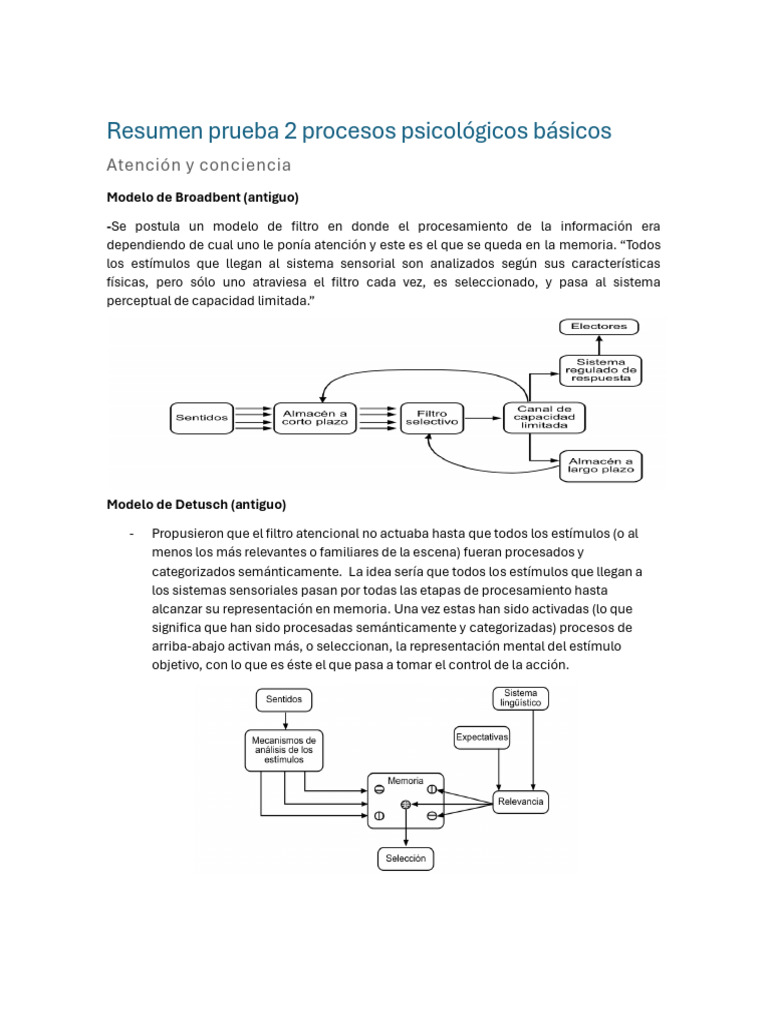 Resumen Prueba 2 Procesos Psicológicos Básicos | Descargar gratis PDF | Memoria | Atención