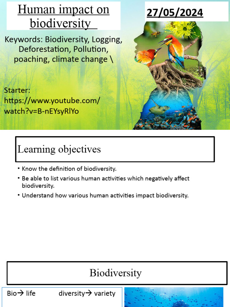 Presentation - Human Impact On Biodiversity | PDF | Deforestation ...