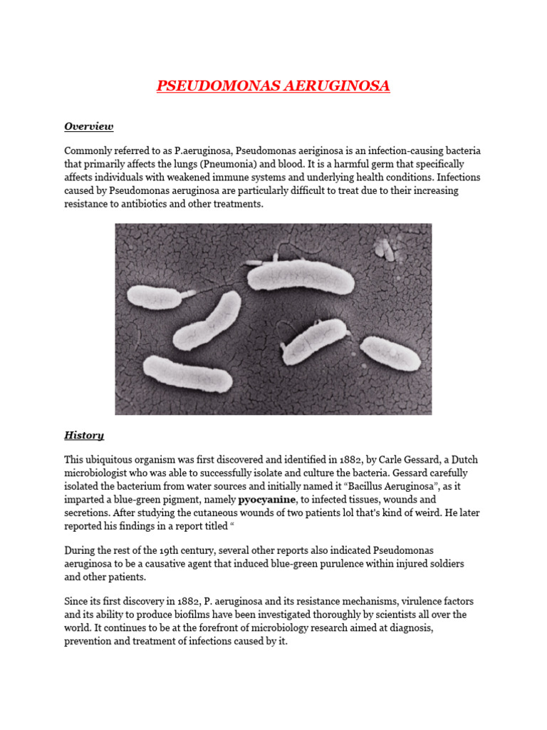 Psuedomonas Aeruginosa | PDF | Pseudomonas Aeruginosa | Lipopolysaccharide