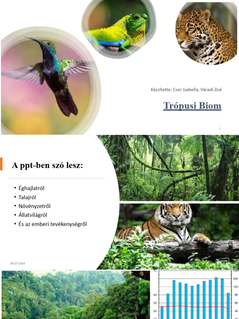 Trópusi Biom1 | PDF