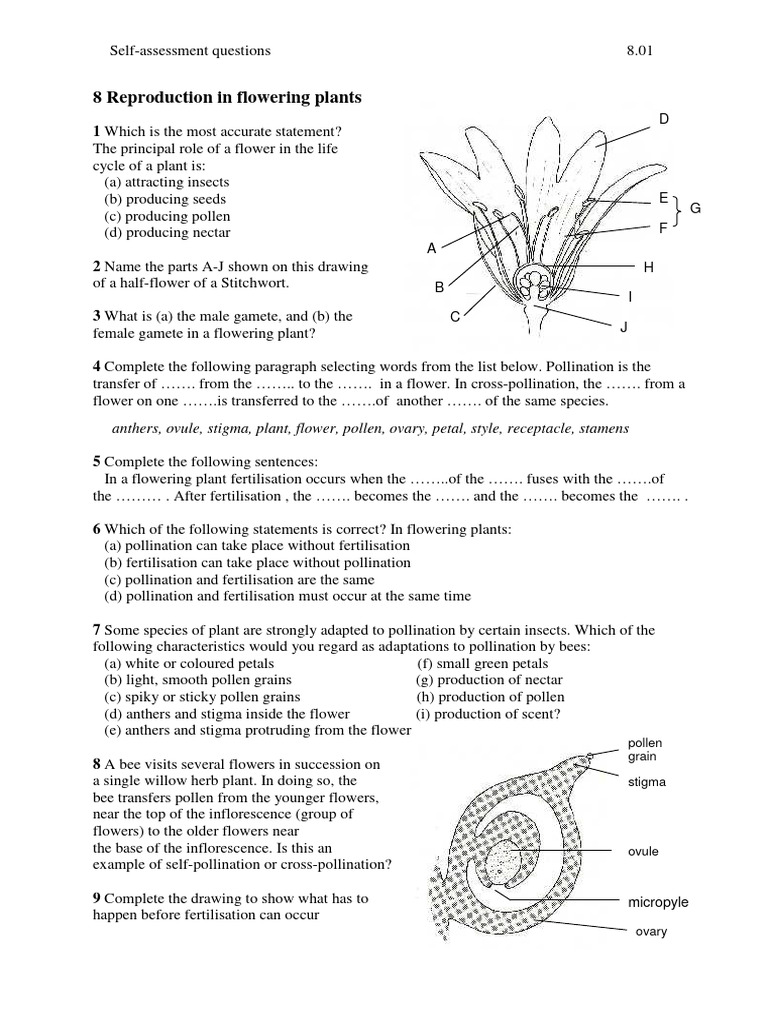 plant-reproduction | PDF | Flowers | Pollination
