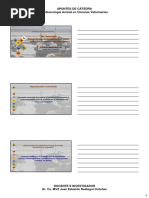 Protocolo de Sincronizacion. Ovsynch | PDF | Vacas | Reproducción humana