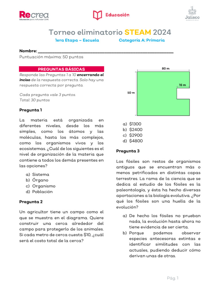 Examen Escuela Torneo STEAM 2024 - CategorÃ - A A | PDF | Tormentas | Fósil