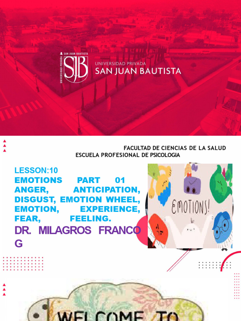 Understanding Emotions in Psychology | PDF