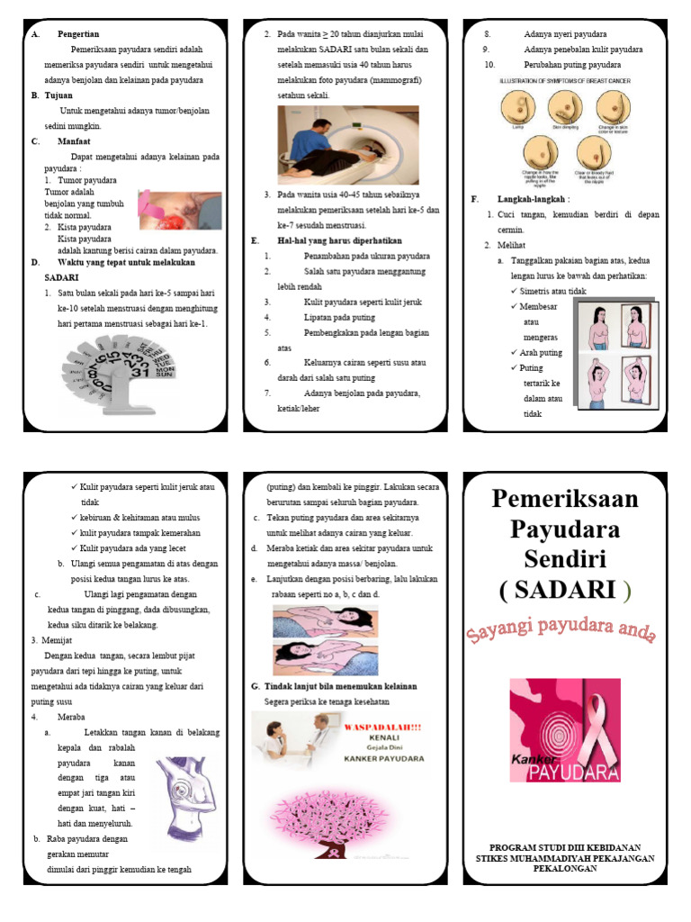 REVISI Leaflet SADARI | PDF