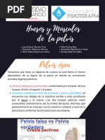 Anatomía y Cultura de las Nalgas | PDF | Nalgas | Anatomía humana