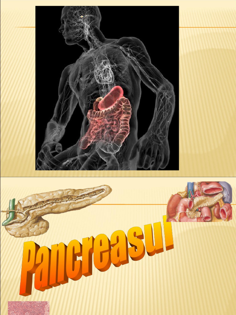 Pancreas Ul | PDF