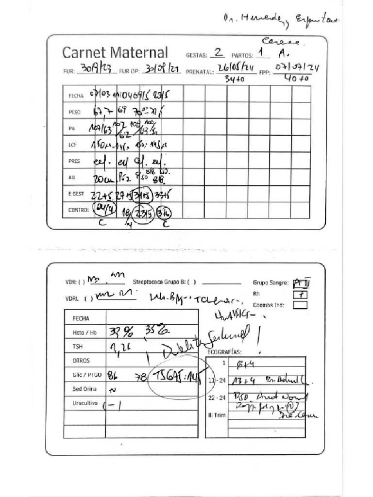 Carnet Control Embarazo | PDF