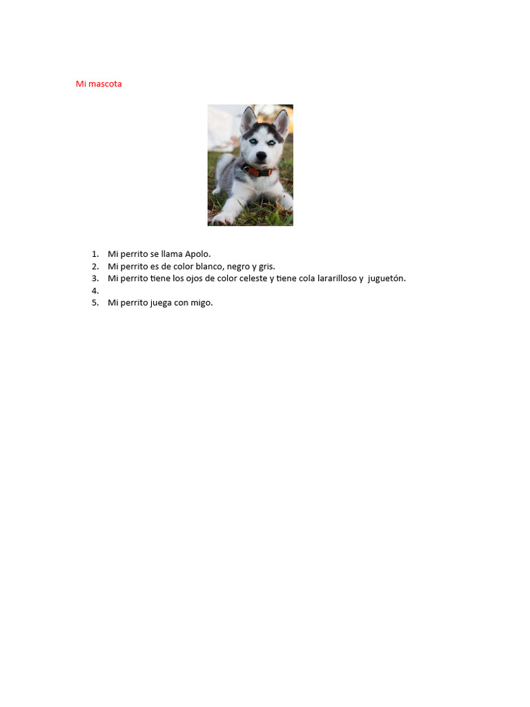 Mi Mascota | PDF