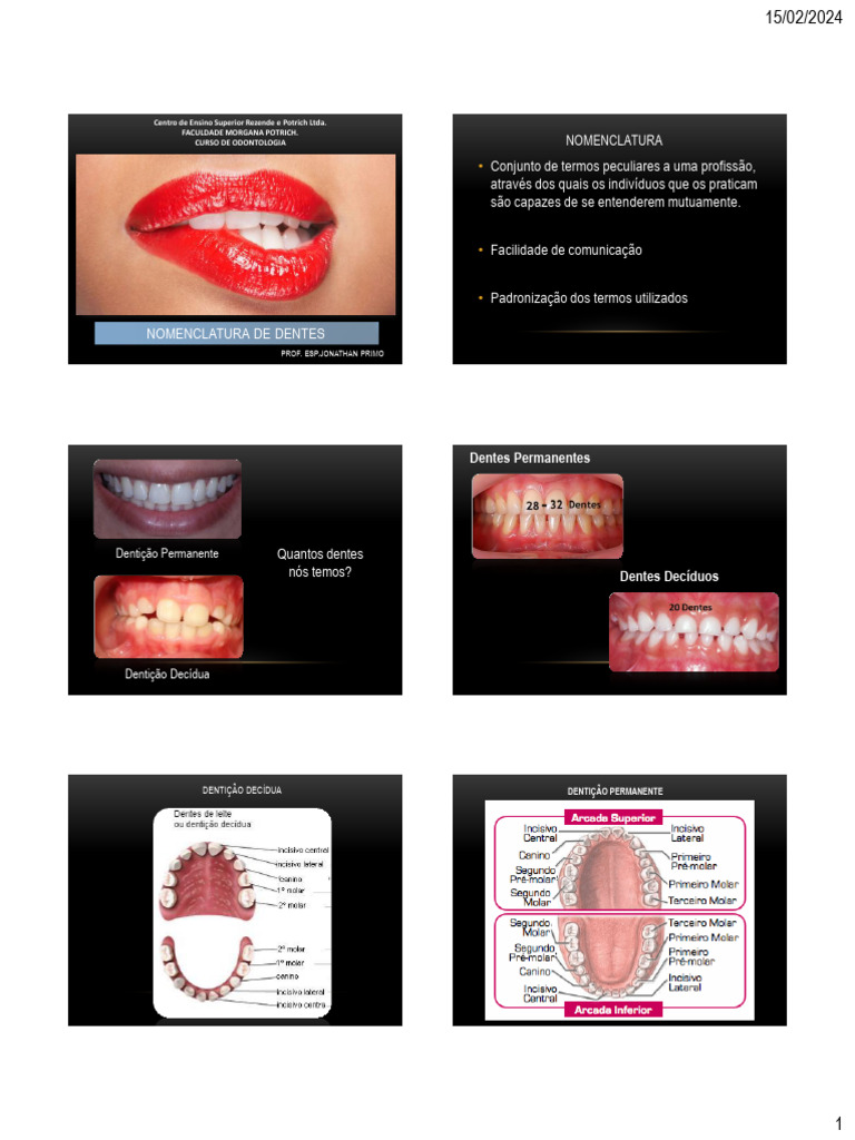 Nomenclatura dos Dentes Permanentes | PDF | Odontologia | Áreas da ...