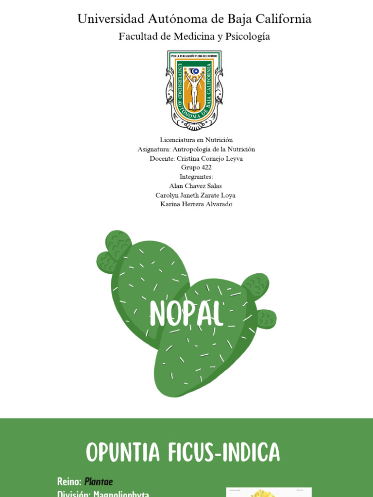 El Nopal | PDF | Plantas