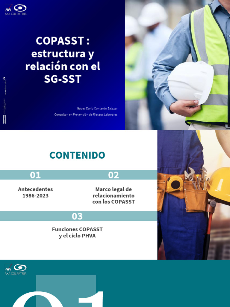 Estructura y Funcinamiento Copasst | PDF | Seguridad y salud ocupacional