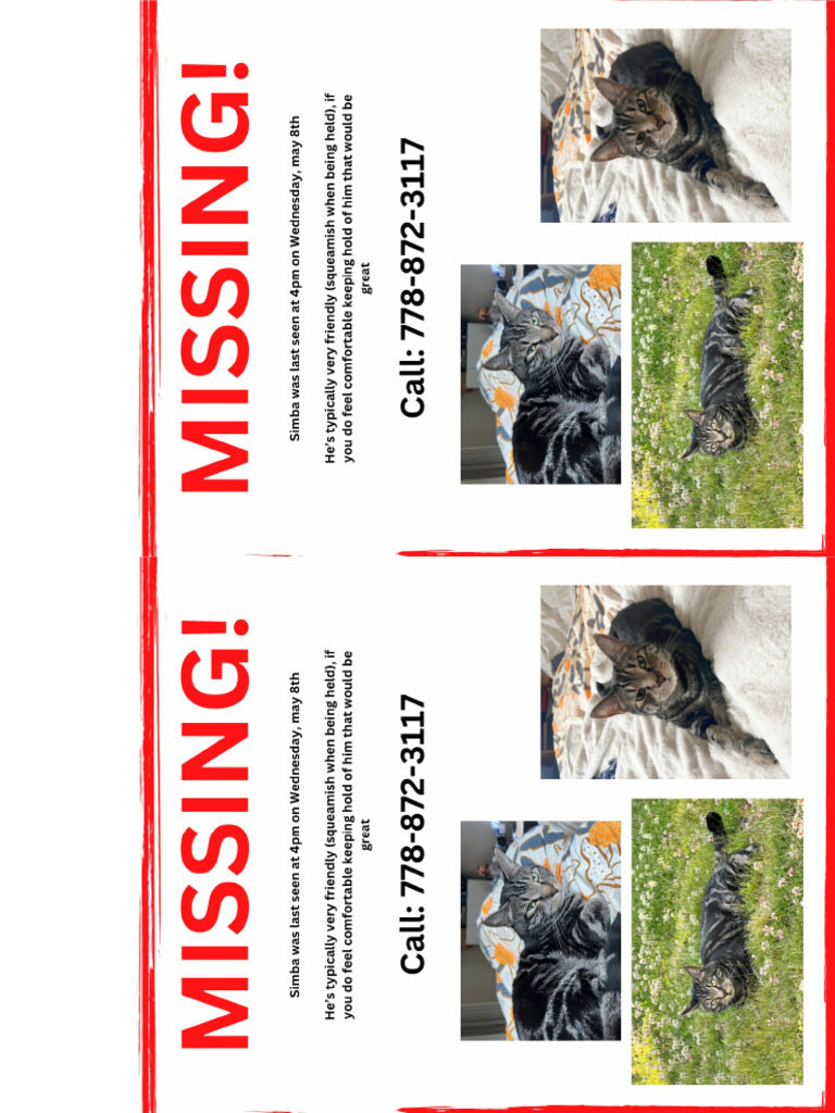 Missing! | PDF