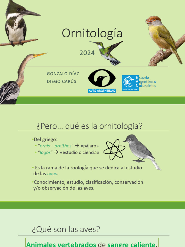 Introducción a la Ornitología | PDF | Aves | Esqueleto