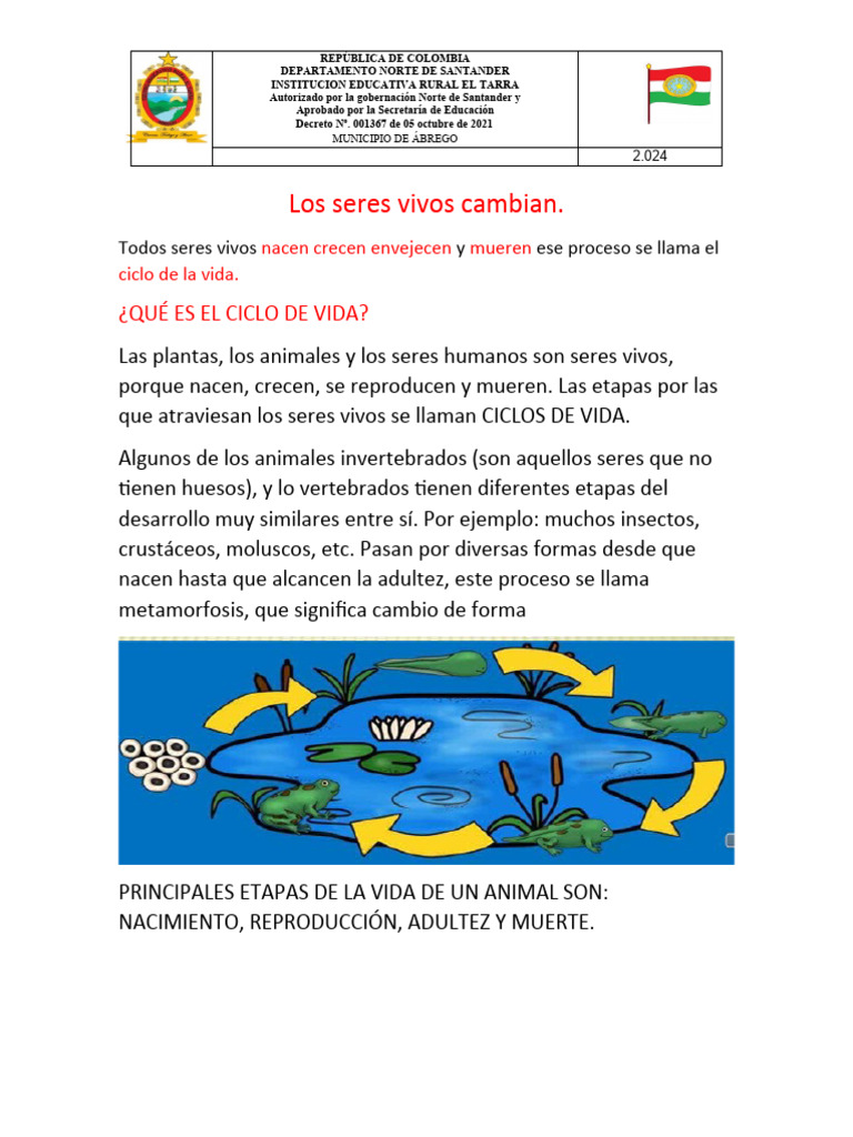 Ciclo de Vida de los Animales para Niños | PDF | Biología | Zoología