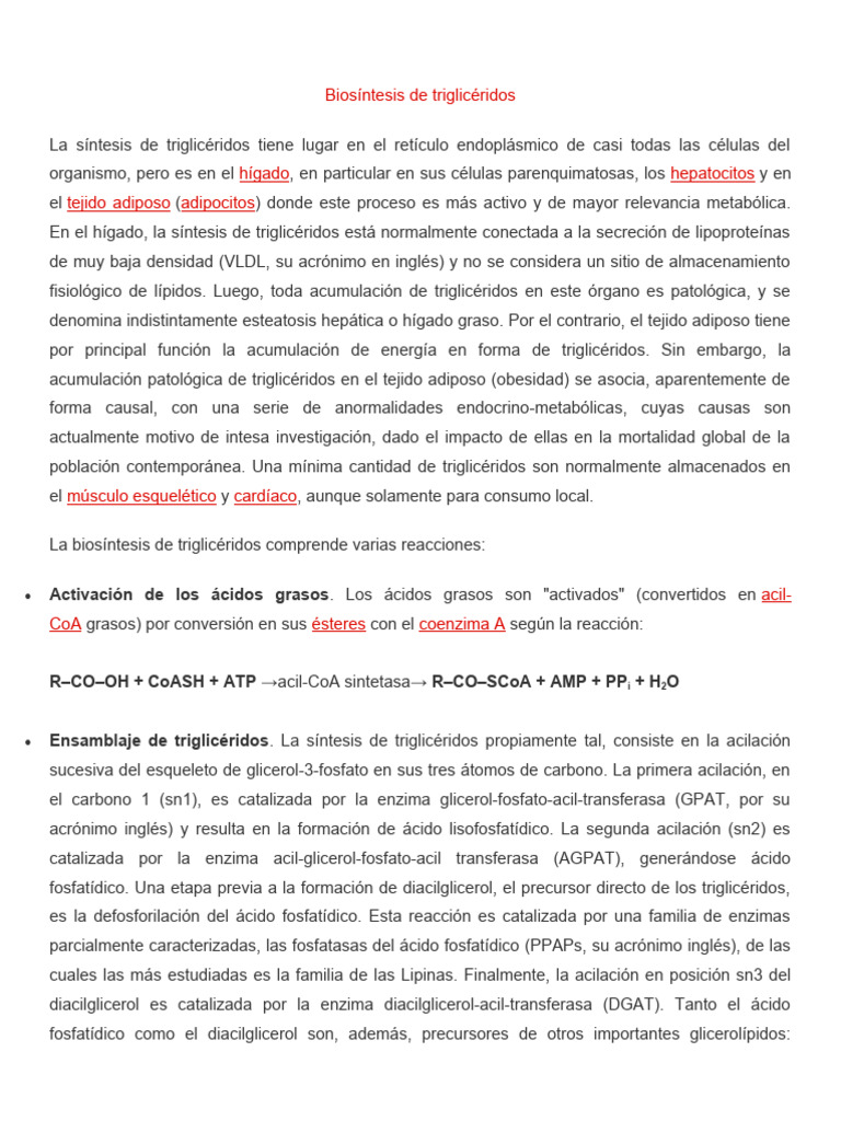 Biosíntesis de Triglicéridos y Funciones | PDF | Triglicéridos ...