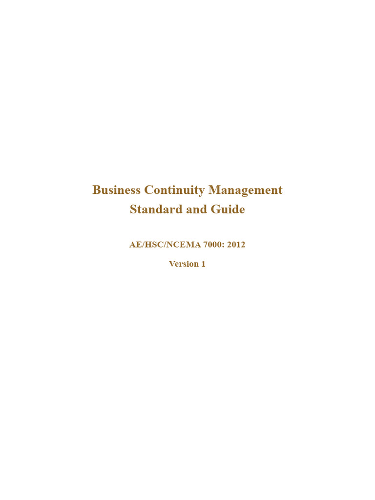 BCM English Ncema - 29!8!2013 | PDF | Audit | Internal Audit