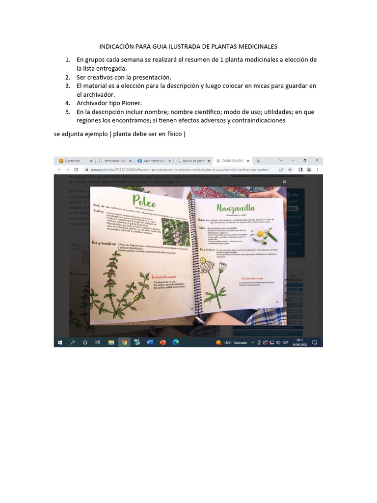 Indicación para Guia Ilustrada de Plantas Medicinales 2024 | PDF