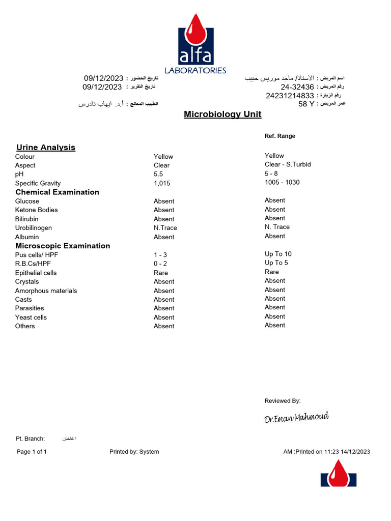 Alfa Resultsubservices Pdf