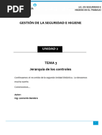 La Pirámide del Control de Riesgos | PDF | Riesgo | Solvente