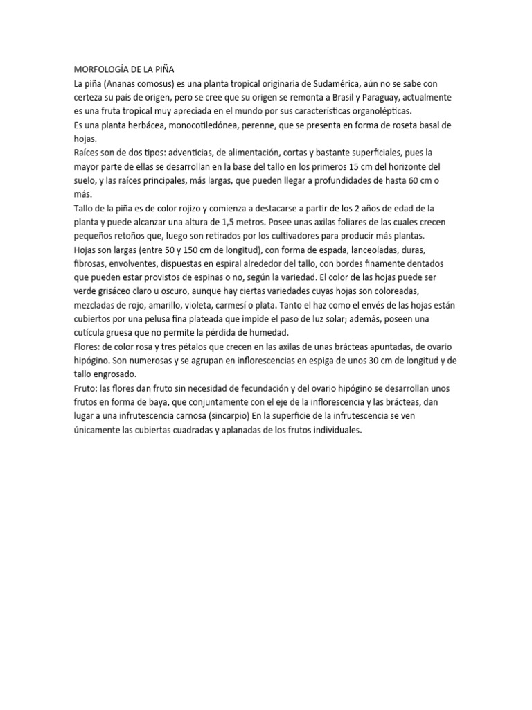 Morfología y partes de la piña | PDF
