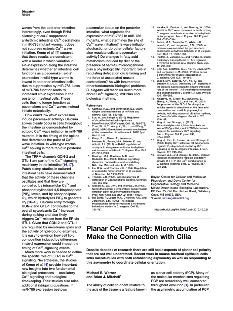Planar Cell Polarity Microtubules Make The Connection Wi - 2012 - Current Biolo | PDF | Biology ...