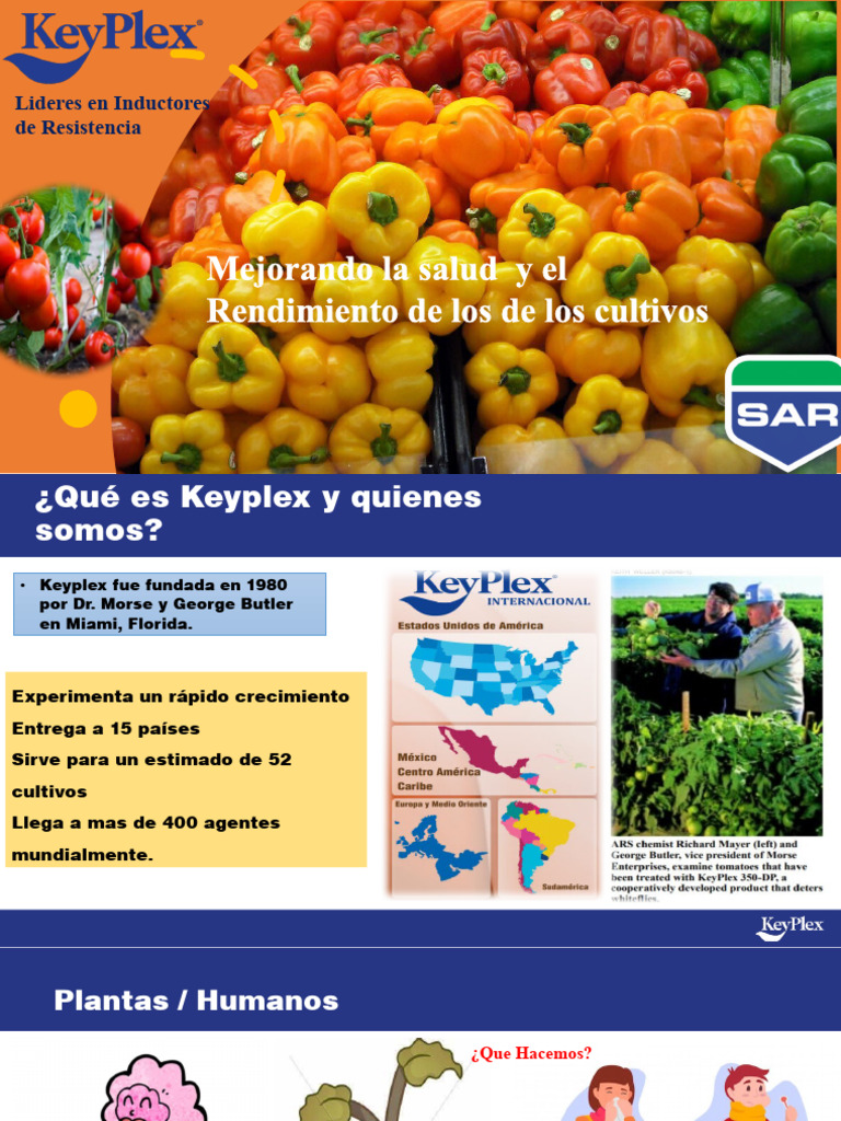 KeyPlex USA | PDF | Aceite esencial | Plantas
