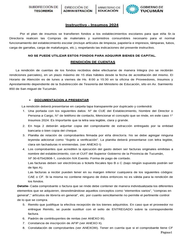 Instructivo Rendicion de Insumos 2024 | PDF | Impuestos | Factura