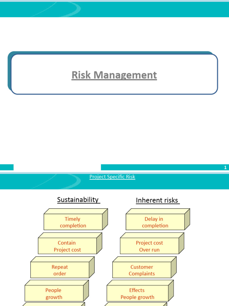 Risk Management | PDF | Risk | Risk Management