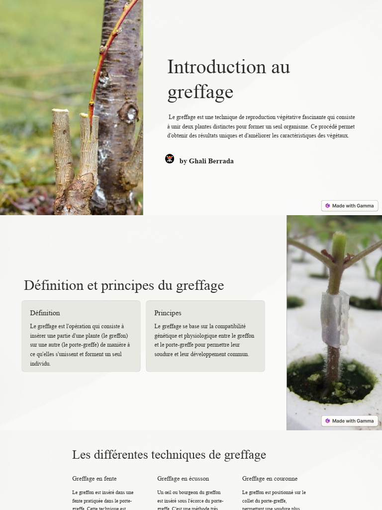 Techniques de greffage des plantes | PDF | Greffe (botanique) | Biologie