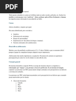 Obsesión por la Belleza y sus Efectos | PDF | Sicología | Conceptos ...