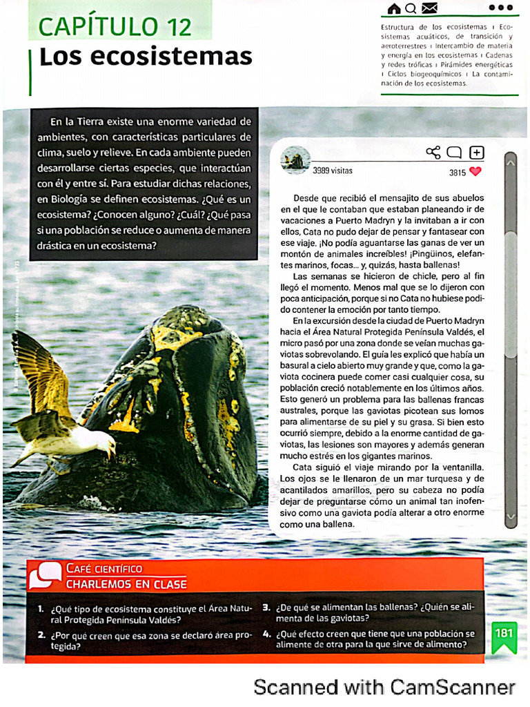 Los Ecosistemas. | PDF