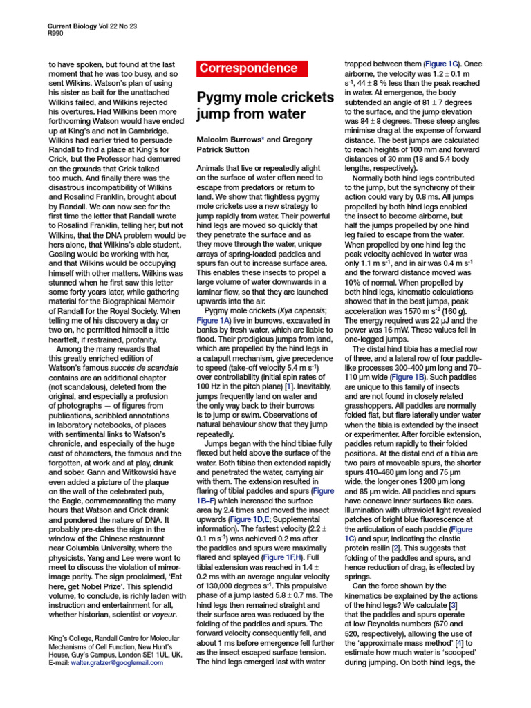 Pygmy Mole Crickets Jump From Water - 2012 - Current Biology | PDF ...