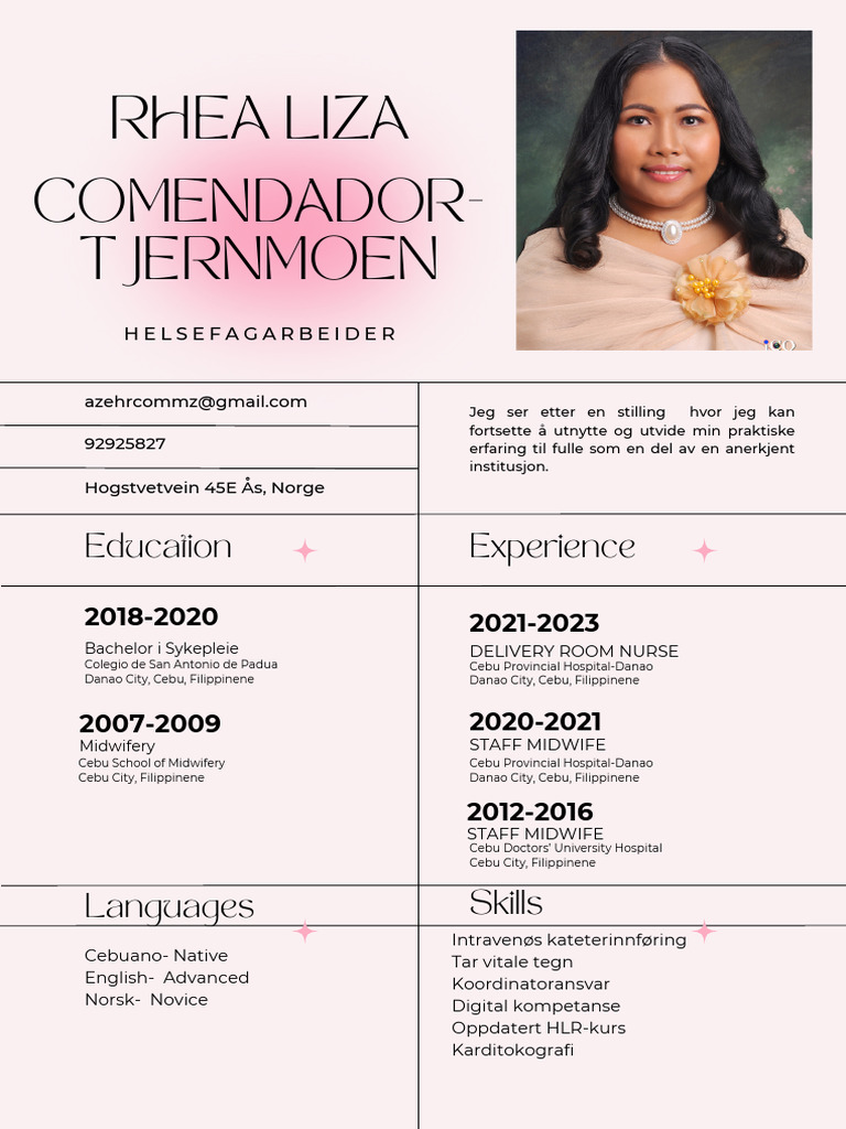 Rhea Liza Comendador-Tjernmoen: Education Experience | PDF
