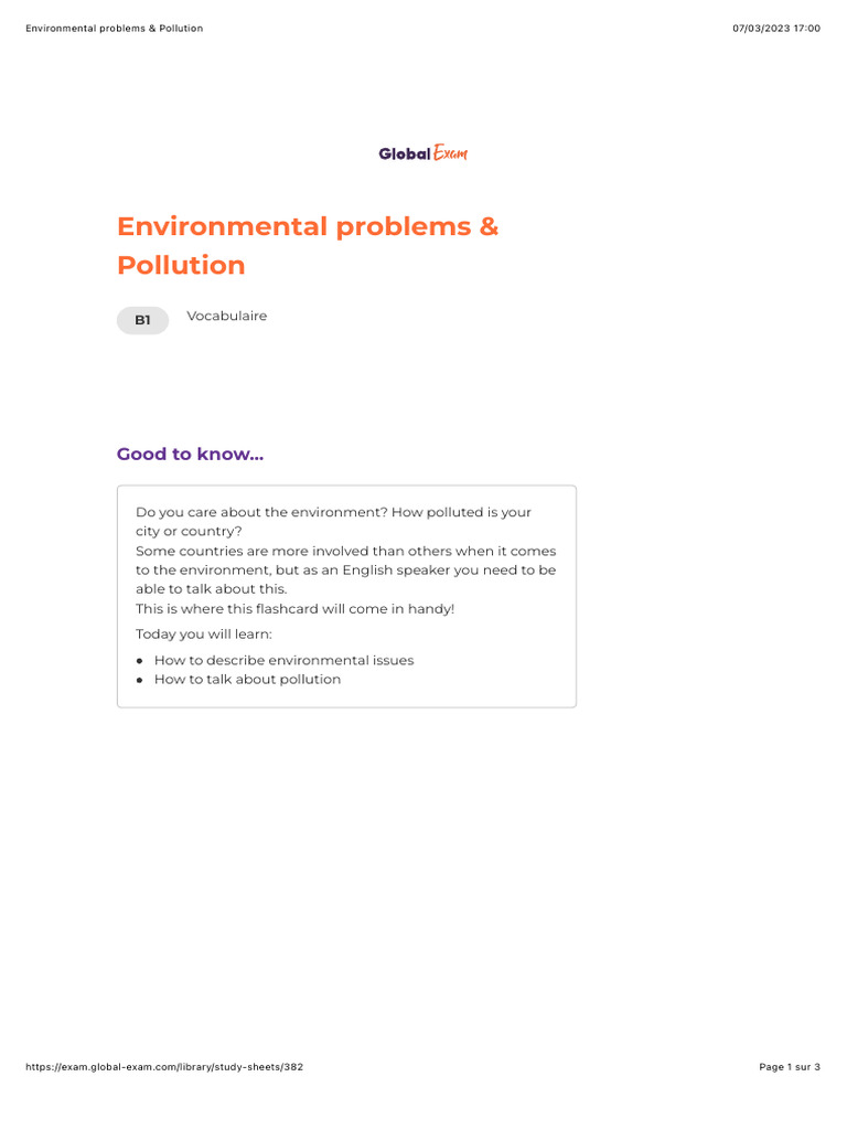 Environmental Issues and Pollution Vocabulary | PDF | Petroleum | Waste