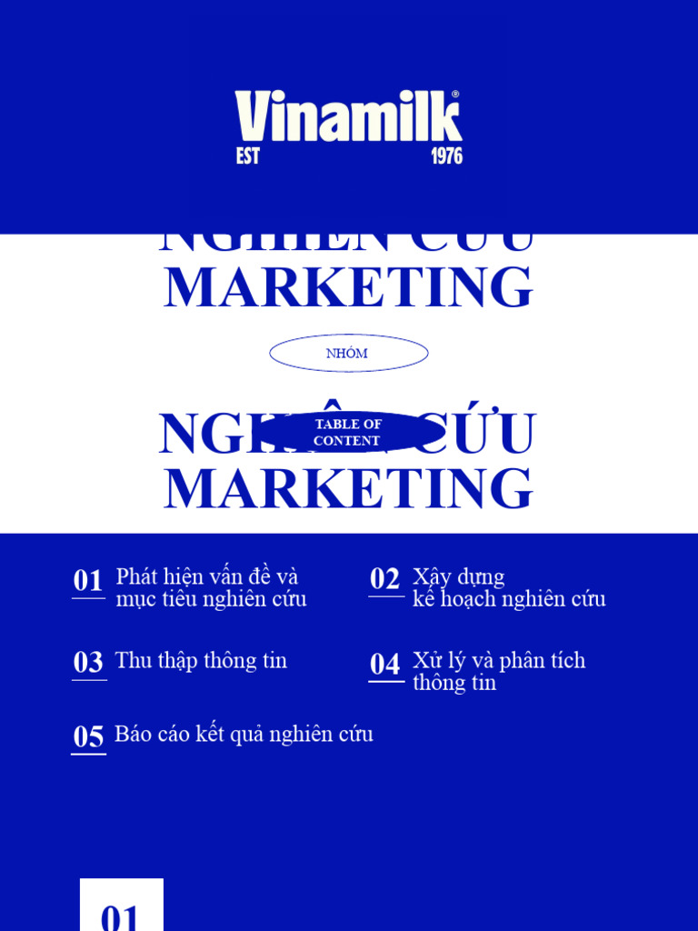 B N Nghiên C U Marketing - Vinamilk | PDF