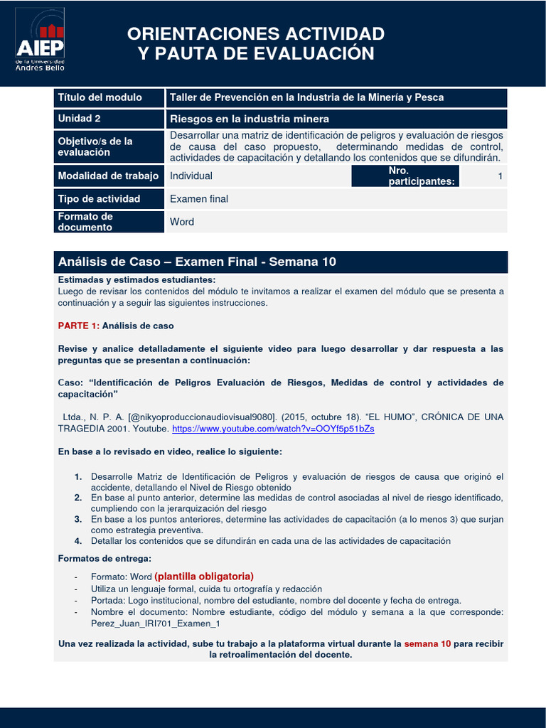 Descarga Las Orientaciones y Pauta de Evaluación de La Actividad Aquí 1111 | PDF