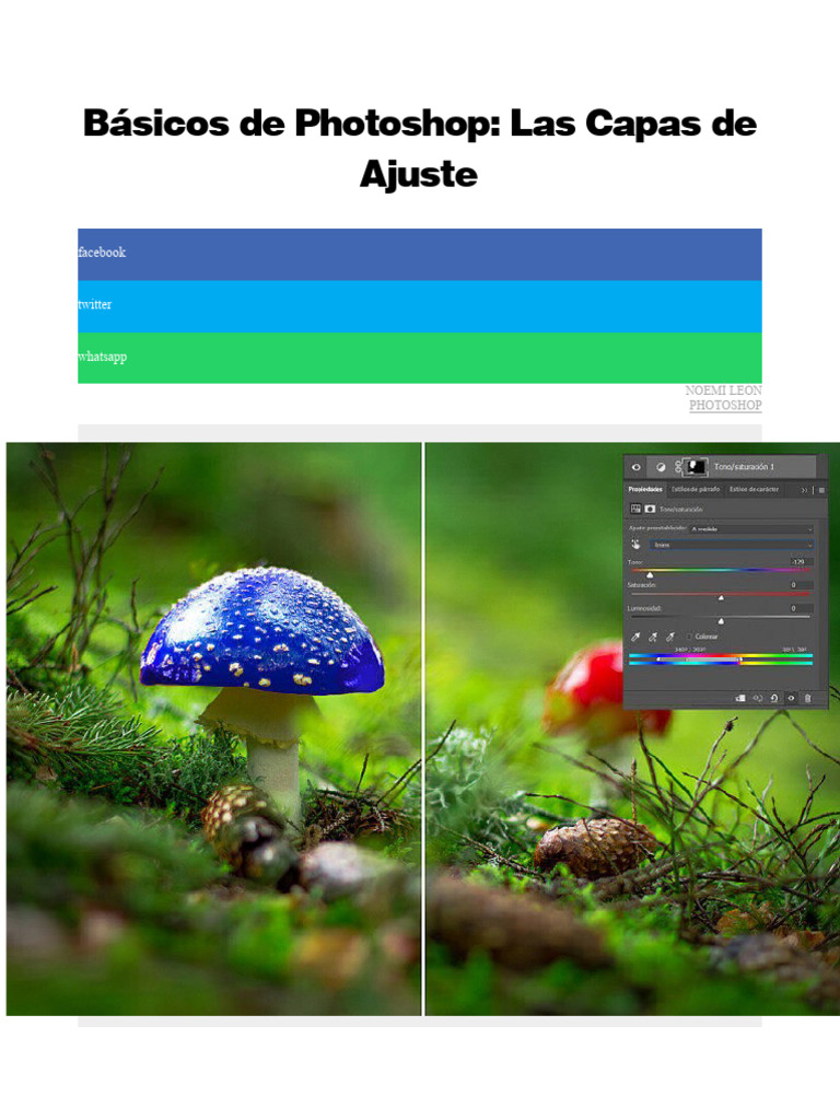 Capas de Ajuste en Photoshop: Guía Básica | PDF | Color | Matiz
