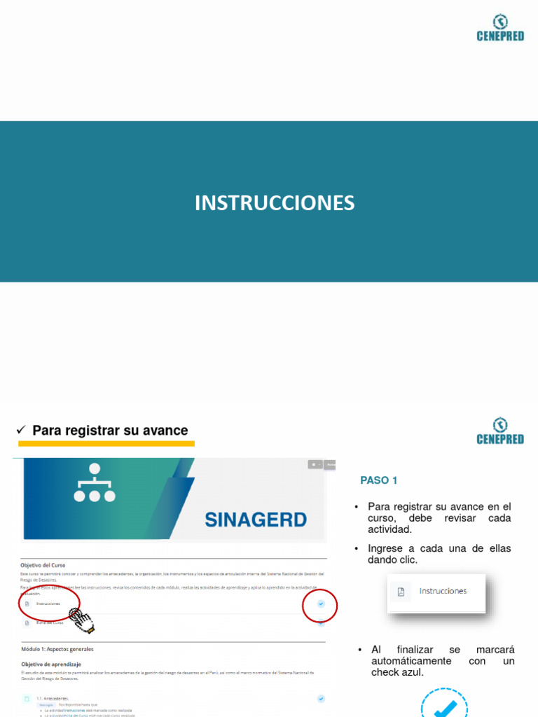 2.instrucciones Sinagerd | PDF | Informática