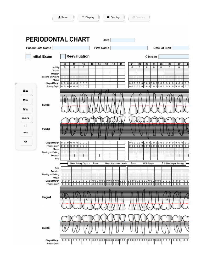 Periodontal Chart Online - WWW - Perio-Tools - Com 4 | PDF | Home & Garden