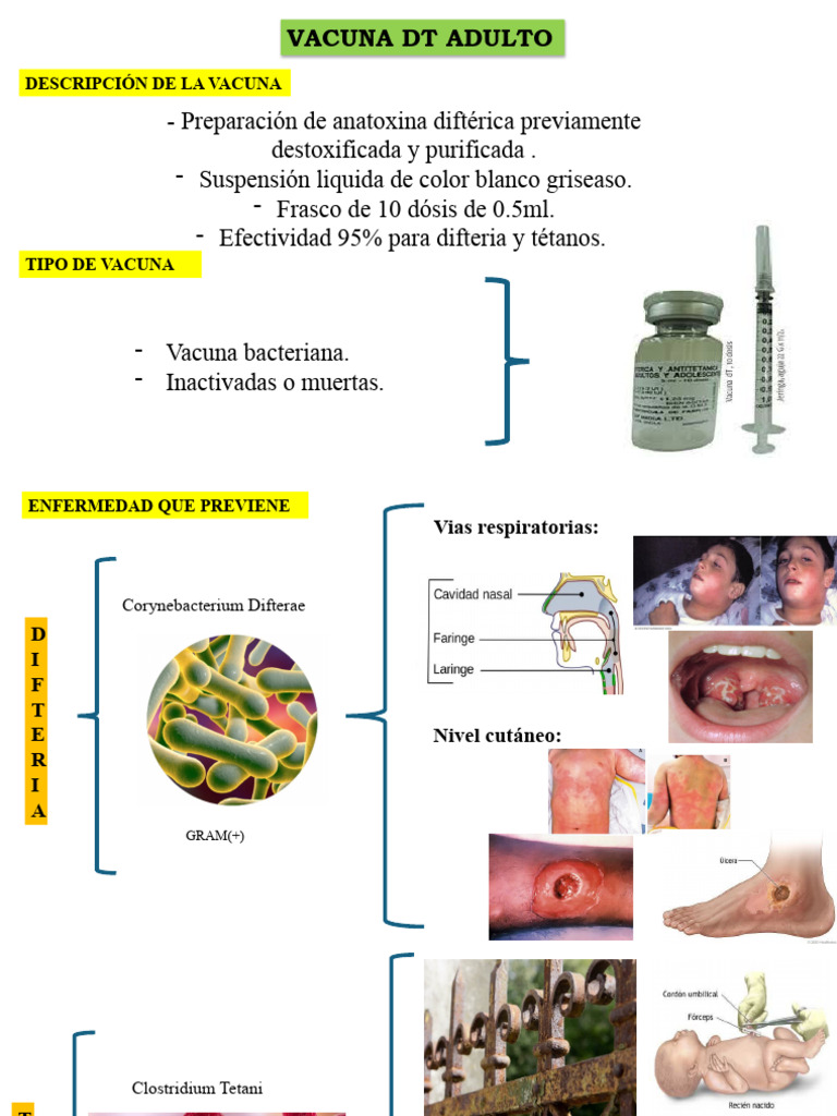 Vacuna DT para Adultos: Dosis y Efectividad | PDF | Enfermedades y ...