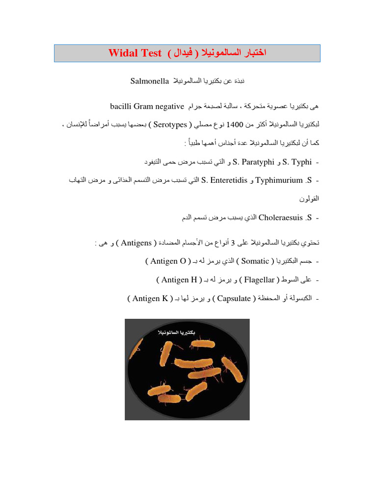 Widal Test | PDF