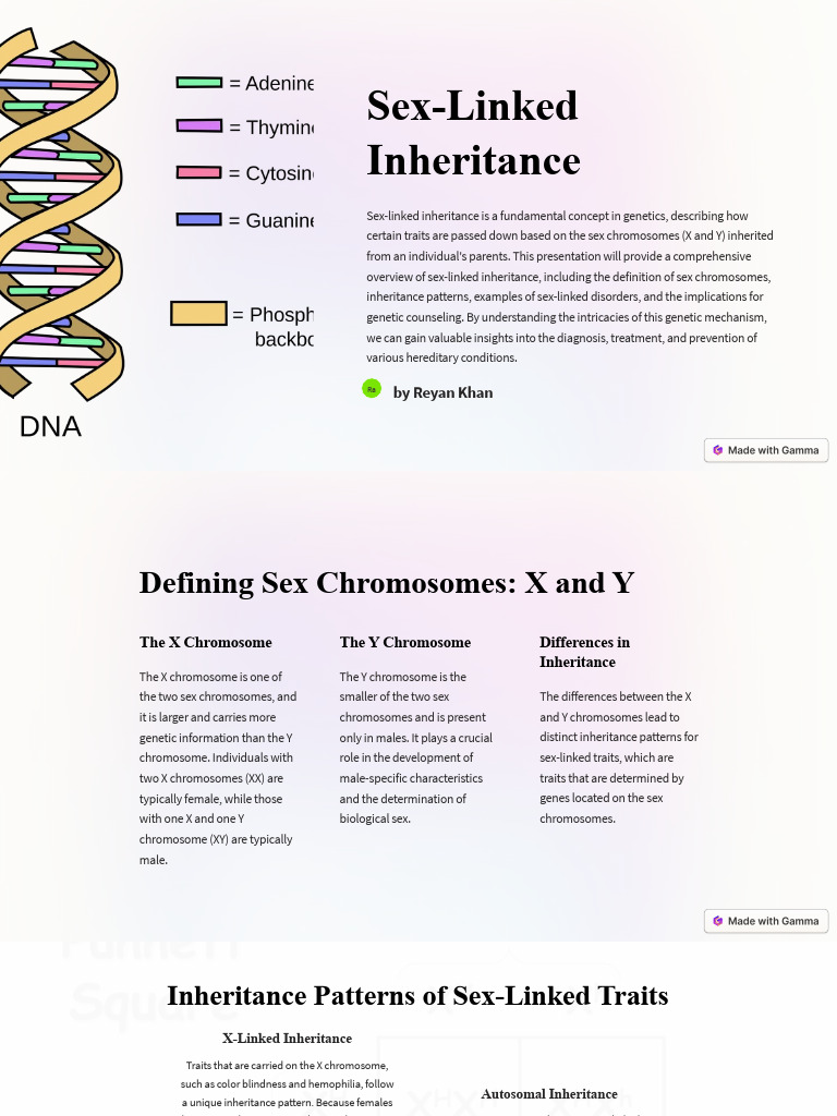 Sex Linked Inheritance Pdf Genetic Disorder Genetic Counseling