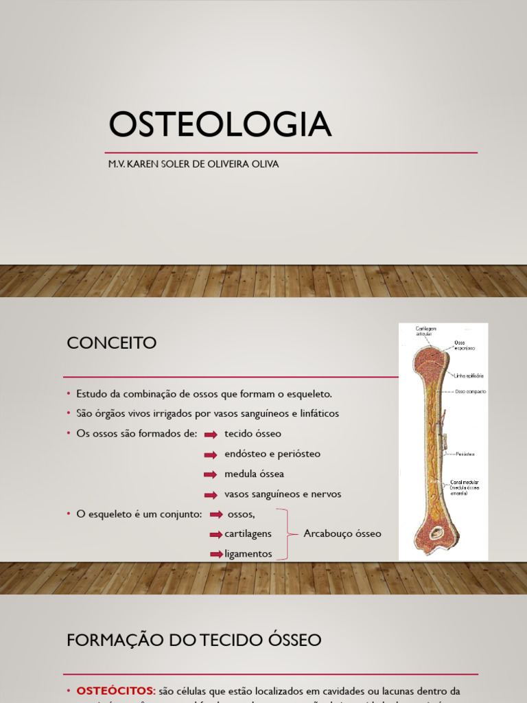 Aula 2 - Osteologia Pronta | PDF | Osso | Esqueleto