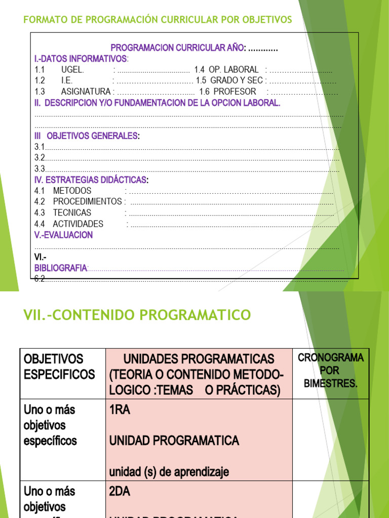 Formato de Prog Curric X Objetivos (Diapositiva) | PDF | Plan de estudios | Evaluación