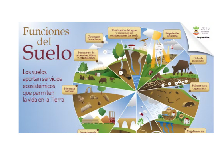 Funciones Suelo Vivo | PDF